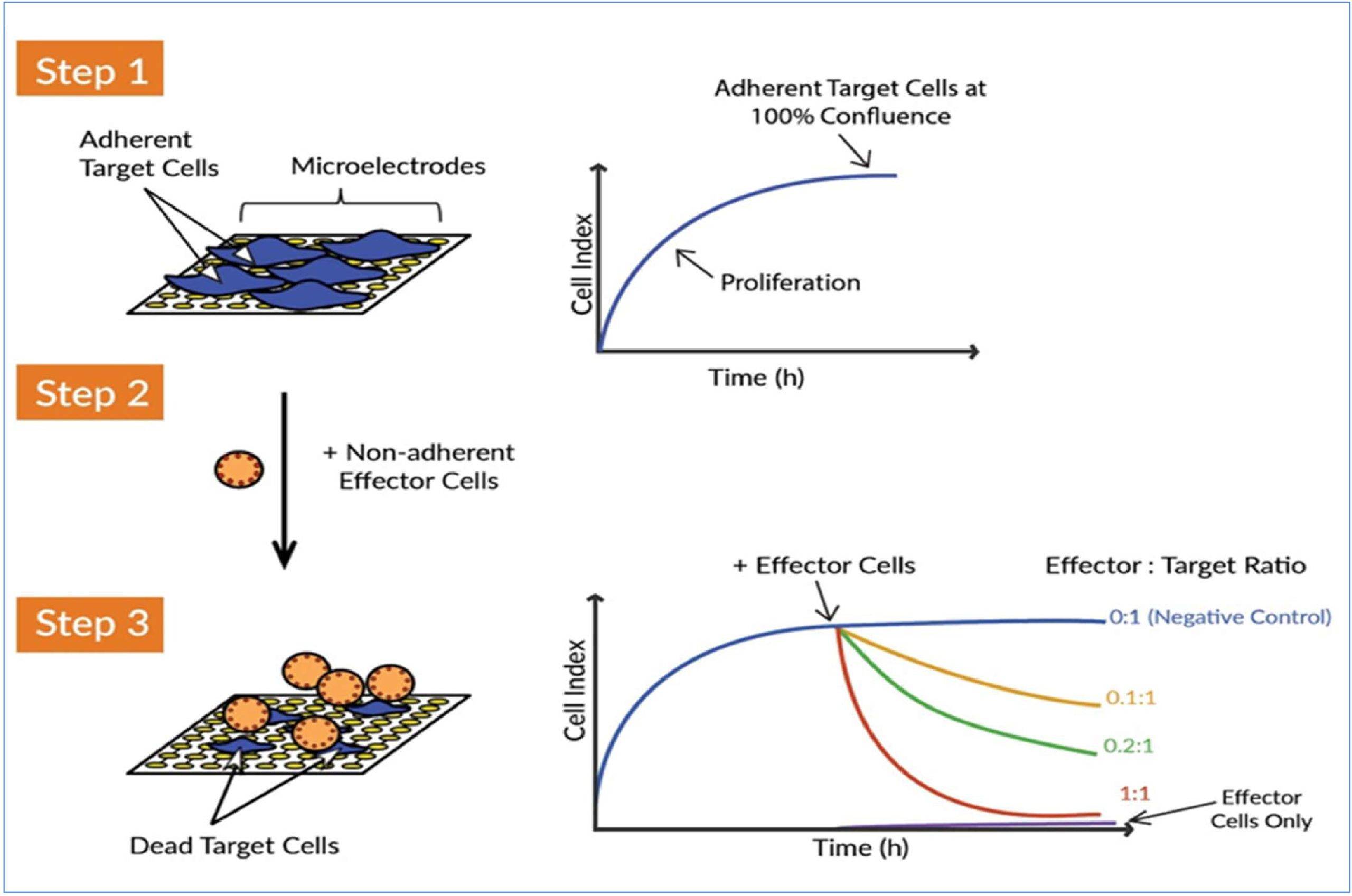 Charge Decay Time in Material Testing